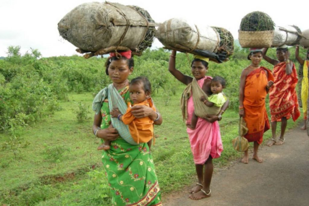 Primitive Tribes Odisha Different Types of Tribes India